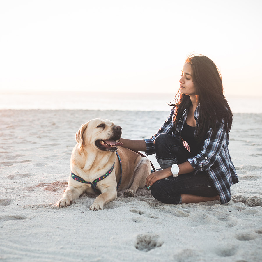 Vet Near Me Pensacola, FL 32514 | Ferry Pass Animal Hospital
