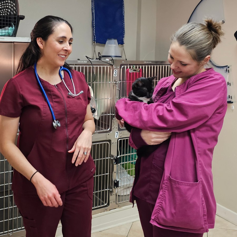 Pet Preventative Care In Pensacola, FL 32514 | Ferry Pass Animal Hospital
