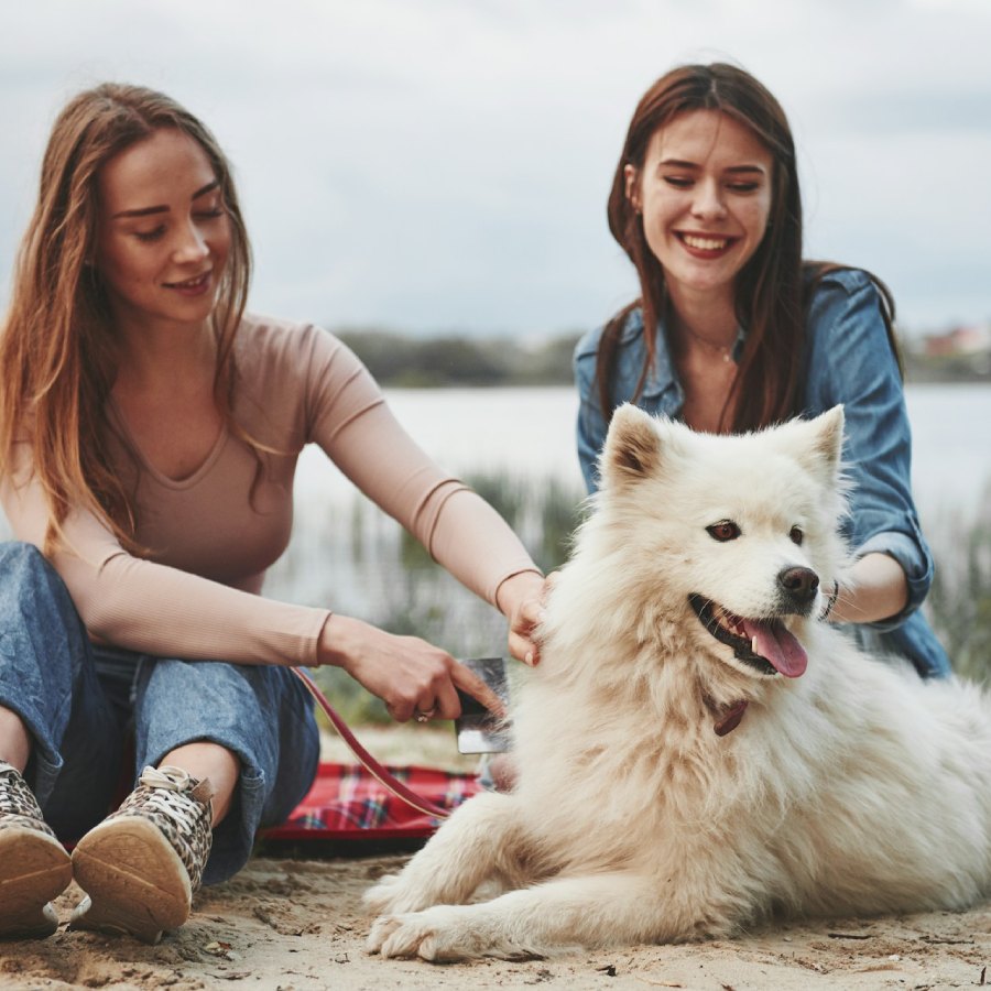 About Ferry Pass Animal Hospital | Vet In Pensacola, FL 32514